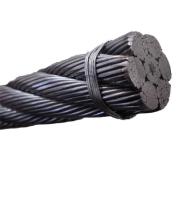 China 100kg/Roll 20mm Gauge Oilfield Stainless Steel Wire Rope for sale