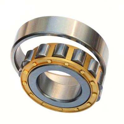 China P4 P2 Double Row NU2206 ECP Cylindrical Roller Bearing for sale
