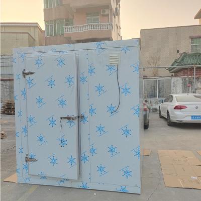 China Sus304 Panel Small Walk In Cooler Freezer For Fruit And Vegetable for sale