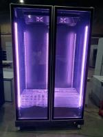 China 2 Glass Doors Beverage Display Fridge Commercial Upright Refrigerator for sale