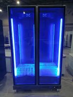 China 2 Glass Doors Beverage Display Fridge Commercial Upright Refrigerator for sale