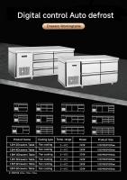 China Under Counter Table 2-Drawer Refrigerator Commercial Kitchen Equipment for sale
