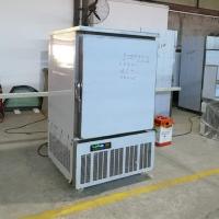 China S/S201 10 Trays Tecumseh Commercial Blast Freezers for sale
