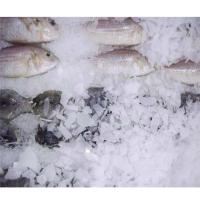 China Yxfridge 1000KG/24hrs Flake Ice Making Machine For Seafood for sale