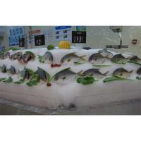 China CE 304 Stainless Steel 2000 Kgs/D Small Flake Ice Machine for sale