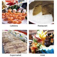 China Air Cooling 4000kgs Flake Ice Maker For Fishery for sale