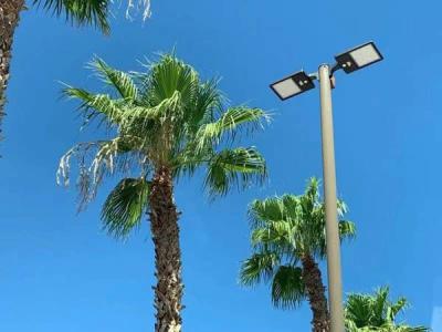 China Straight Round Lighting Poles, straight lighting columns,hot dip galvanized lighting poles, powder coated lighting poles for sale