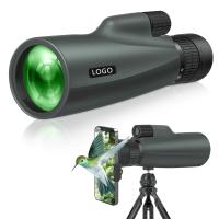 China Portable Telephoto Lens For Smartphone 10-30x50 BAK4 Roof Nature View for sale