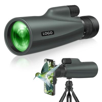 China Portable Telephoto Lens For Smartphone 10-30x50 BAK4 Roof Nature View for sale
