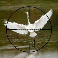 China Long Range Shooting Air Rifle Scope 2-7X20 Waterproof For Outdoor for sale