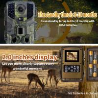 China 1080p Night Vision Goggle Waterproof Night Vision Wildlife Camera Trap IP56 for sale