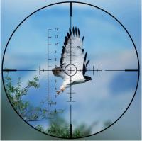 China 10-40x50E Hunting Riflescope Ir With Side Wheel Parallax Optical Viewfinder for sale