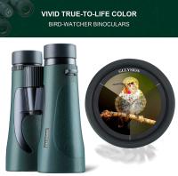 China Adults 12X50 HD Binoculars With Phone Adapter High Power Binocular Telescope for sale