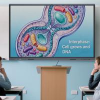 China 55 Inch Ai MT9679 4K LCD Interactive Whiteboard for sale