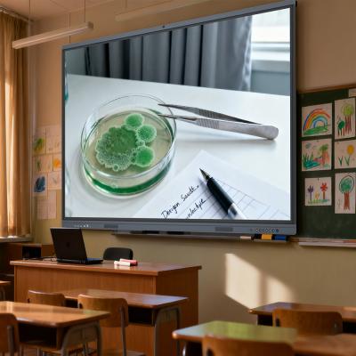 China 110 Inch Interactive Whiteboard Smart Board All in One Interactive Flat Panel B Type for sale