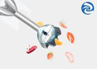China 400W 500ml Handheld Food Mixer 304 Stainless Steel 2 Speed for sale