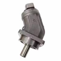 China Rexroth A2FM Series Hydraulic Motor 10-160cc Displacement for Heavy Duty Applications for sale