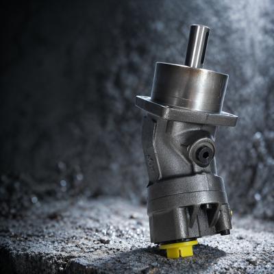 China China Made Rexroth A2FO A2FM A2FE Bent Axis Piston Motor 016 023 028 032 045 for sale