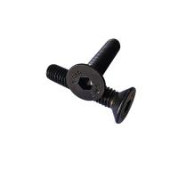 China Hexagon Socket Head Cap Screw Full Thread Blackened Carbon Steel with TT Payment Term for sale