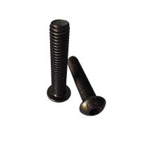 China Stainless Steel Hex Socket Cap Screw at Affordable from Alloy Steel Screw Guaranteed for sale