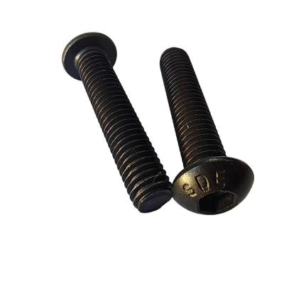 China Black Coated Hex Screw Distributor Payment term TT Western Union Paypal Credit Card Standard DIN for sale