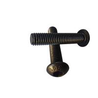 China Black Coated Hex Screw Distributor Payment term TT Western Union Paypal Credit Card Standard DIN for sale