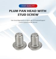China Pan Head Stainless Steel Furniture Machine Screw with Ultra Low Profile and Other Standard for sale