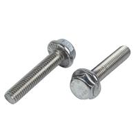 China Supply GB Standard Stainless Steel Serrated Hex Flange Bolt for Customized Customization for sale