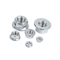 China 304 Stainless Steel M5 M8 M10 M12 Hex Nylon Lock Hex Flange Nuts for DIN6923 Standard for sale