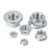 China 304 Stainless Steel M5 M8 M10 M12 Hex Nylon Lock Hex Flange Nuts for DIN6923 Standard for sale