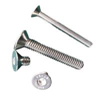 China Customized Recessed Head Stainless Steel Machine Screw for Furniture Plain Finish for sale