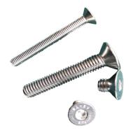 China Stainless Steel Flat Countersunk Head Machine Screws Perfect for Diverse Applications for sale