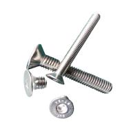 China Plain Finish A-level Strength Custom A2 Stainless Steel Flush Mount Cylindrical Head Hex Socket Machine Screw for sale