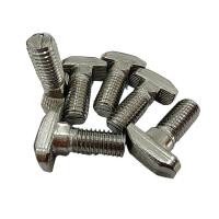 China Plain Finish T Slot Bolt Screw Nut Fastener M5 M6 M8 M10 T Carbon Steel Stainless Steel for sale