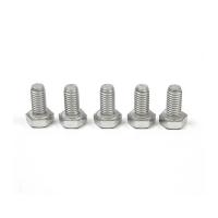 China Plain Finish Hexagon Bolt in Stainless Steel for Industrial Fastening Applications for sale