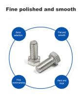 China Plain Finish Hexagon Bolt in Stainless Steel for Industrial Fastening Applications for sale