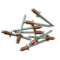 China Uncoated Anti-vibration Brass Round Head Pop Rivets for Marine Automotive and Industrial Applications for sale