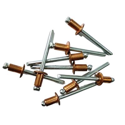 China Uncoated Anti-vibration Brass Round Head Pop Rivets for Marine Automotive and Industrial Applications for sale