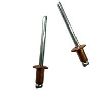 China Uncoated Anti-vibration Brass Round Head Pop Rivets for Marine Automotive and Industrial Applications for sale