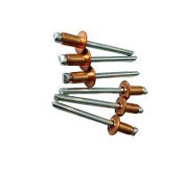 China Uncoated Anti-vibration Brass Round Head Pop Rivets for Marine Automotive and Industrial Applications for sale