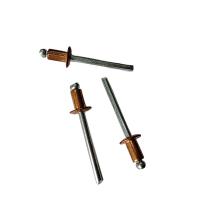 China Sample Free Brass Open End Round Head Rivets for Automotive and Marine Applications for sale