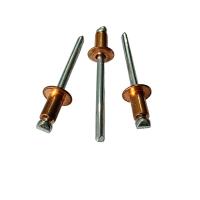 China Polished Brass Open End Pop Rivets for Machinery Construction and Automotive Applications for sale