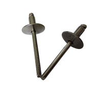 China High Strength Stainless Steel Blind Rivets Large Brim Round Head for Renewable Energy for sale