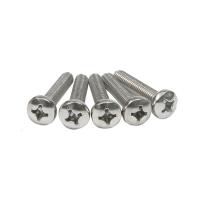China Direct Stainless Steel Flat Head Pan Head Screw with Plain Finish Micro Small Screw for sale