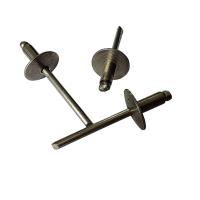 China Anti-Vibration Stainless Steel Multi-Grip Rivets with DIN Standard and Large Brim for sale