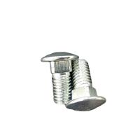 China Round Head Square Neck Screw DIN603 Carriage Bolts in 304 Stainless Steel Material for sale