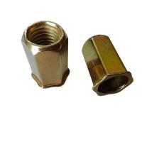 China Metric Measurement System Small Head Full Hex Open Rivet Nut with Yellow Zinc Plating for sale