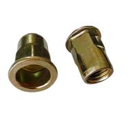China Zinc White Flat Head Semi-Hex Threaded Rivet Nut for Home Appliances Yellow Zinc Plated for sale