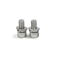 China Assembly Stainless Steel 304 316 DIN912 Hex Socket Head Screw With Flat Washer And Spring Washer Assembled for sale