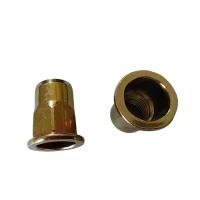 China Zinc Yellow-Chromate Plated Carbon Steel Semi-Hex Flat Head Rivet Nut for Easy Install for sale